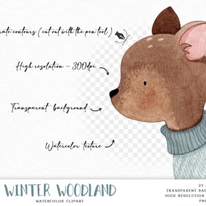 Winter Woodland Animals Clipart Christmas Woodland Nursery - Etsy