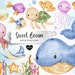 Pink Sea Animals Clipart, Sea Animals Watercolor Clipart, Watercolor ...