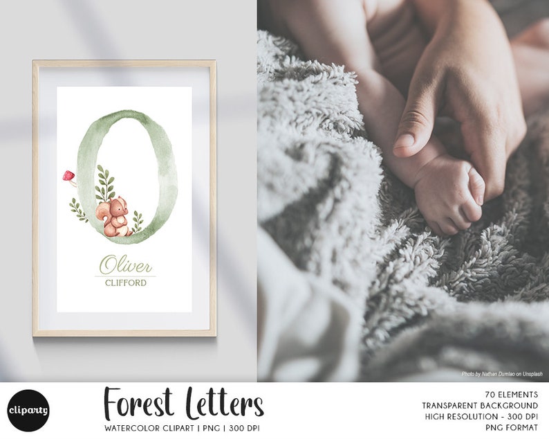 Woodland Alphabet Watercolor Clipart Animal Letter Clipart - Etsy