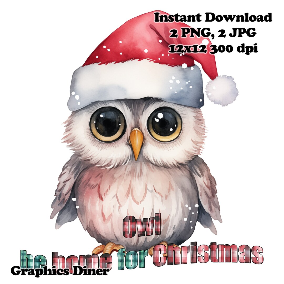 Christmas Owl Watercolor PNG Clipart (digital Download) - Etsy