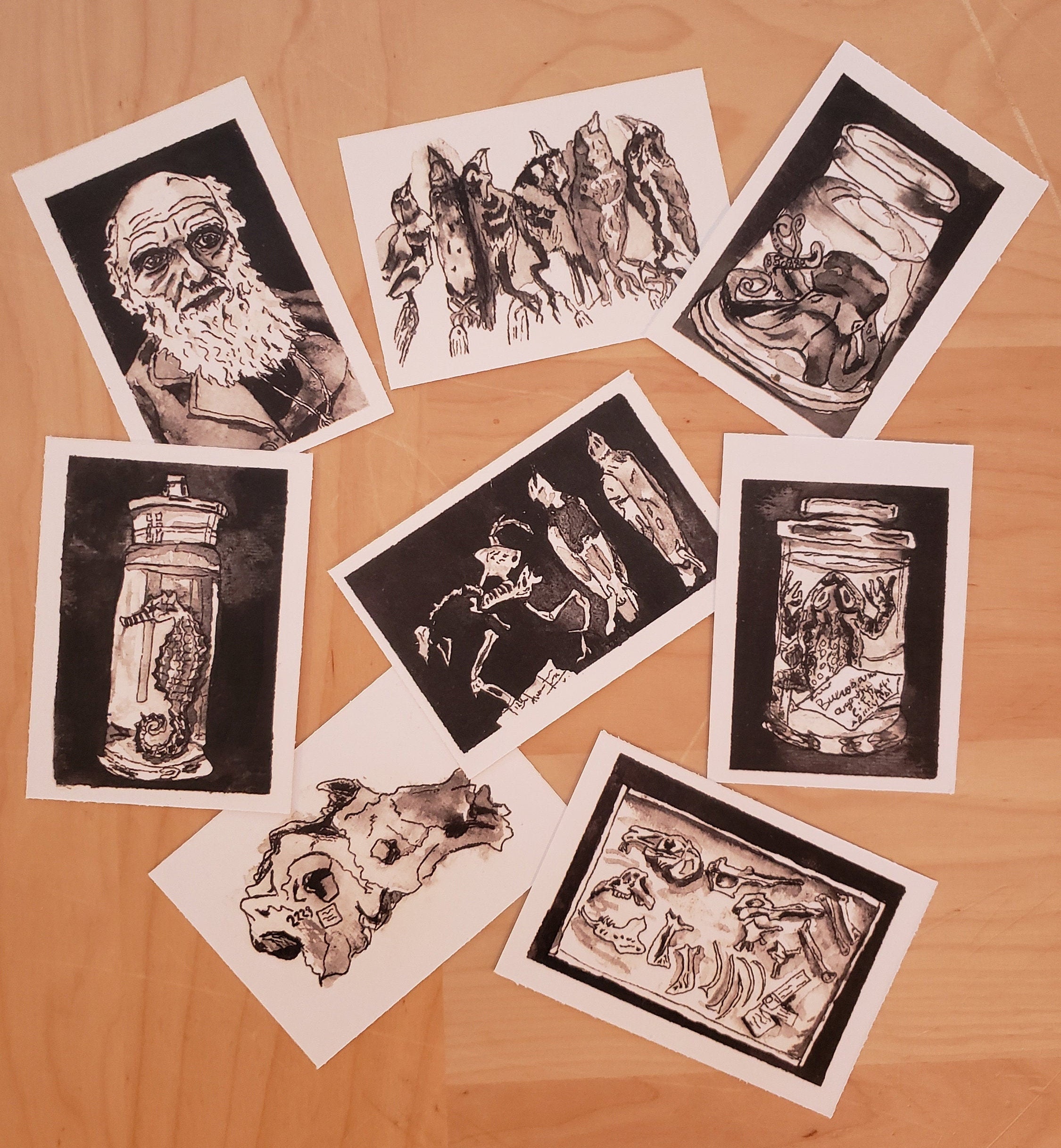 Premium Art & Science Trading Cards-charles Darwin - Etsy