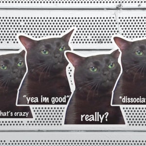 Black Cat Meme, Zoning Out Cat Sticker, Cat Meme, Funny Cat Meme - Etsy