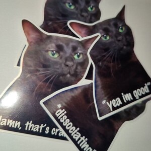 Black Cat Meme, Zoning Out Cat Sticker, Cat Meme, Funny Cat Meme - Etsy