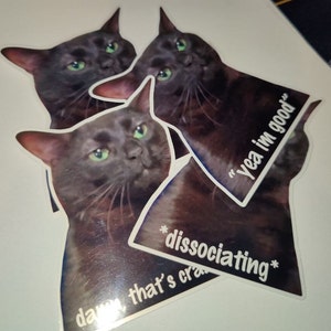 Black Cat Meme, Zoning Out Cat Sticker, Cat Meme, Funny Cat Meme - Etsy