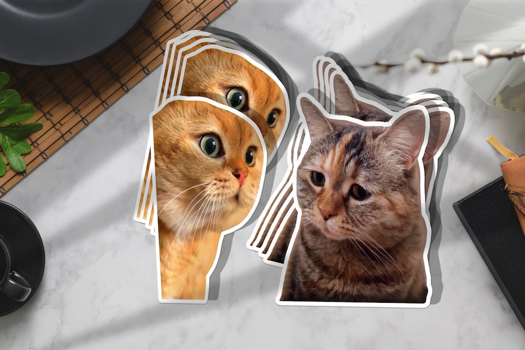 Sad Cat Meme, Cute Cat Sticker, Meme Sticker , Cat Meme, Cute Cat Meme ...