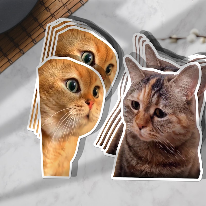Cat Meme Stickers - Etsy