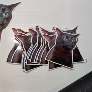 Black Cat Meme, Zoning Out Black Cat Sticker, Black Cat Sticker , Cat ...