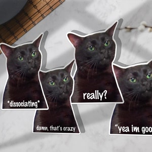 Black Cat Meme, Zoning Out Cat Sticker, Cat Meme, Funny Cat Meme - Etsy