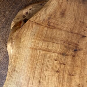 Vintage Burled Wood Tray Divided Tray Living Edge Knot - Etsy