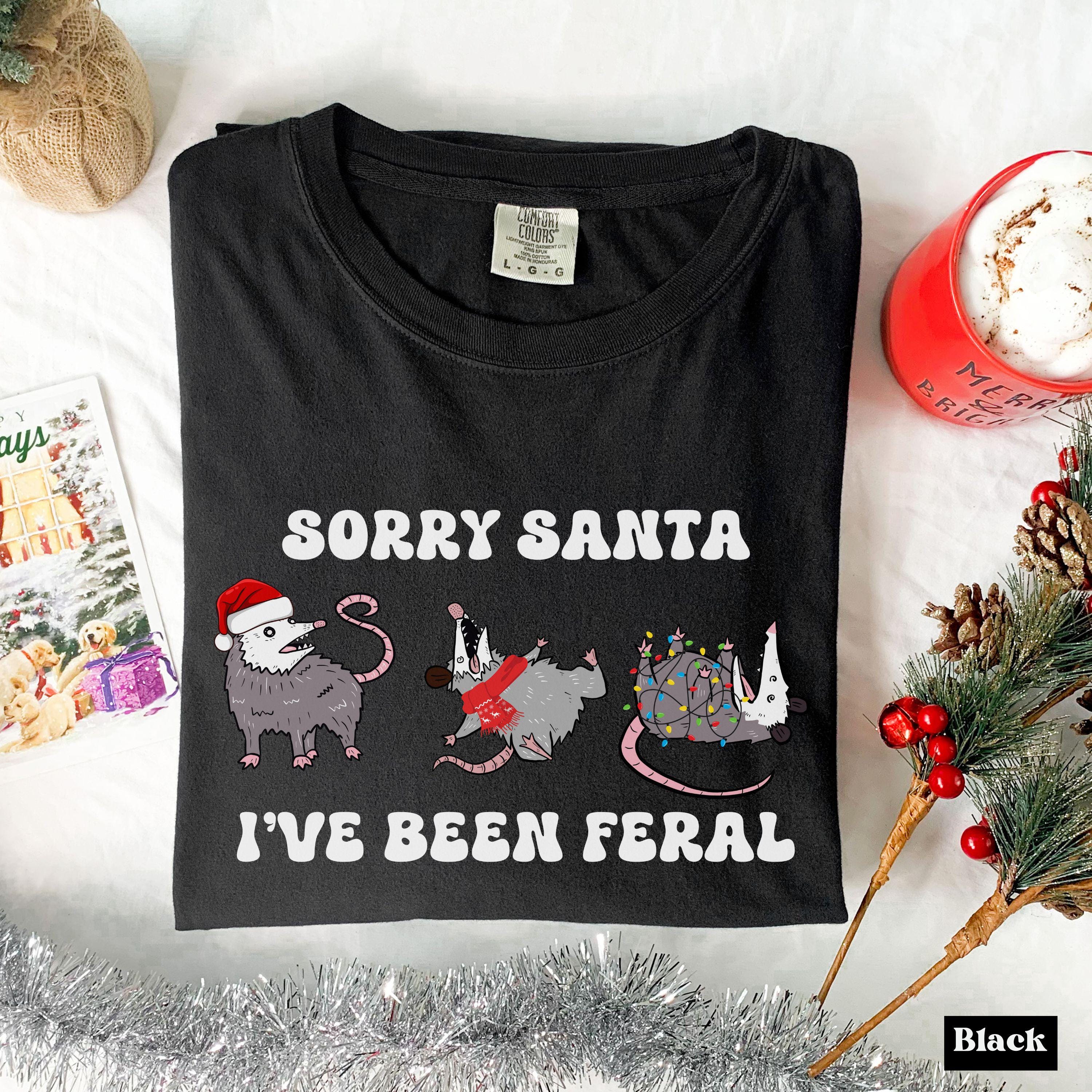 Comfort Colors® Sorry Santa I've Been Feral Shirt, Christmas Possum ...