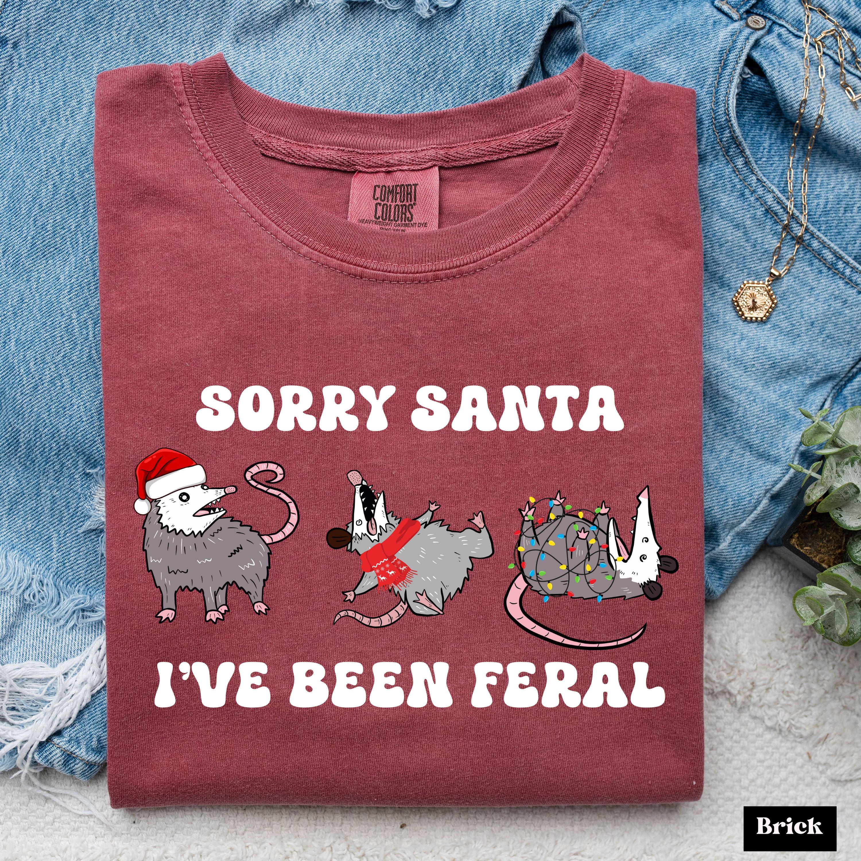 Comfort Colors® Sorry Santa I've Been Feral Shirt, Christmas Possum ...