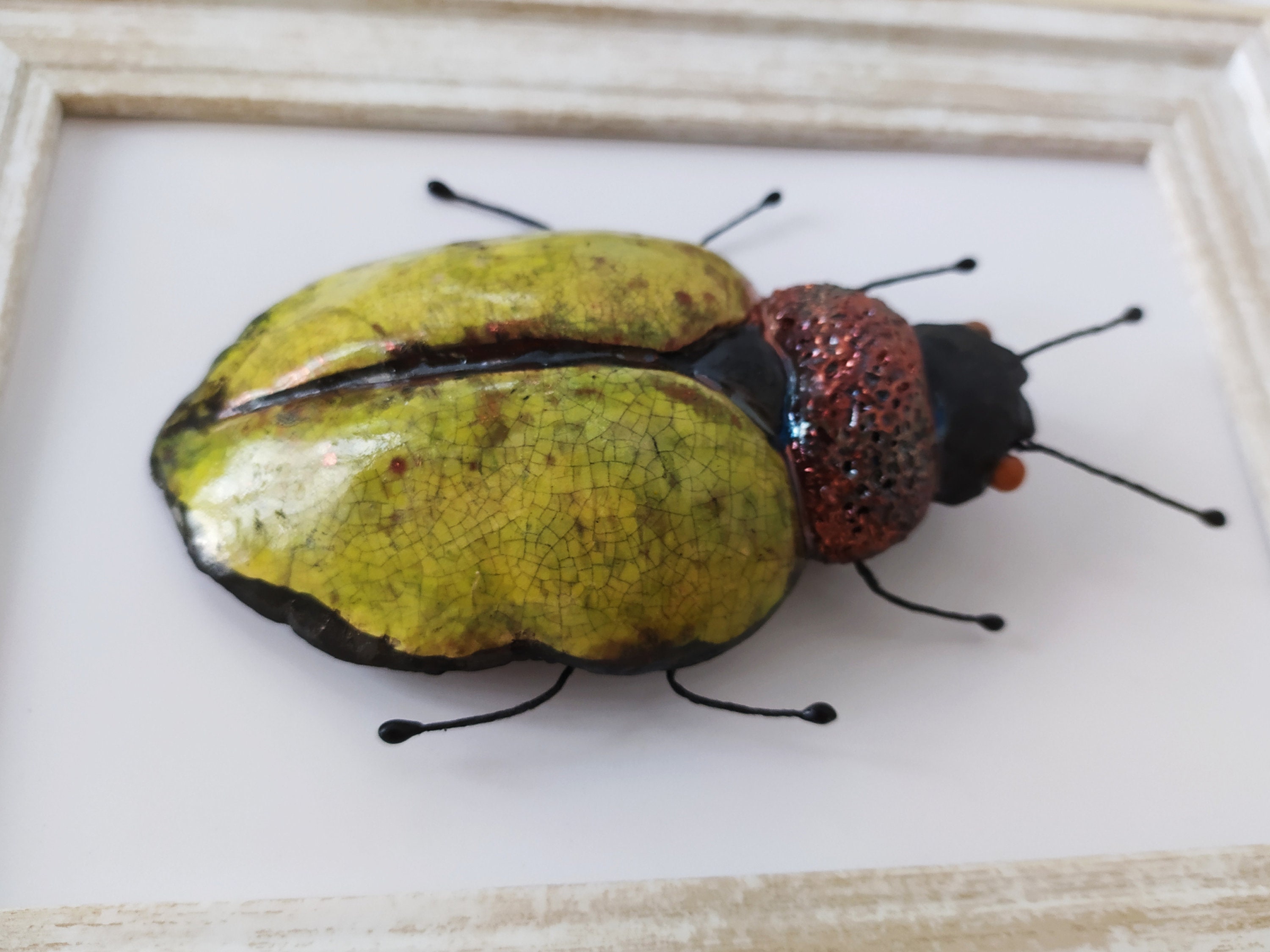 Ceramic beetle framed. Large ceramic beetle brooch. Beetle | Etsy