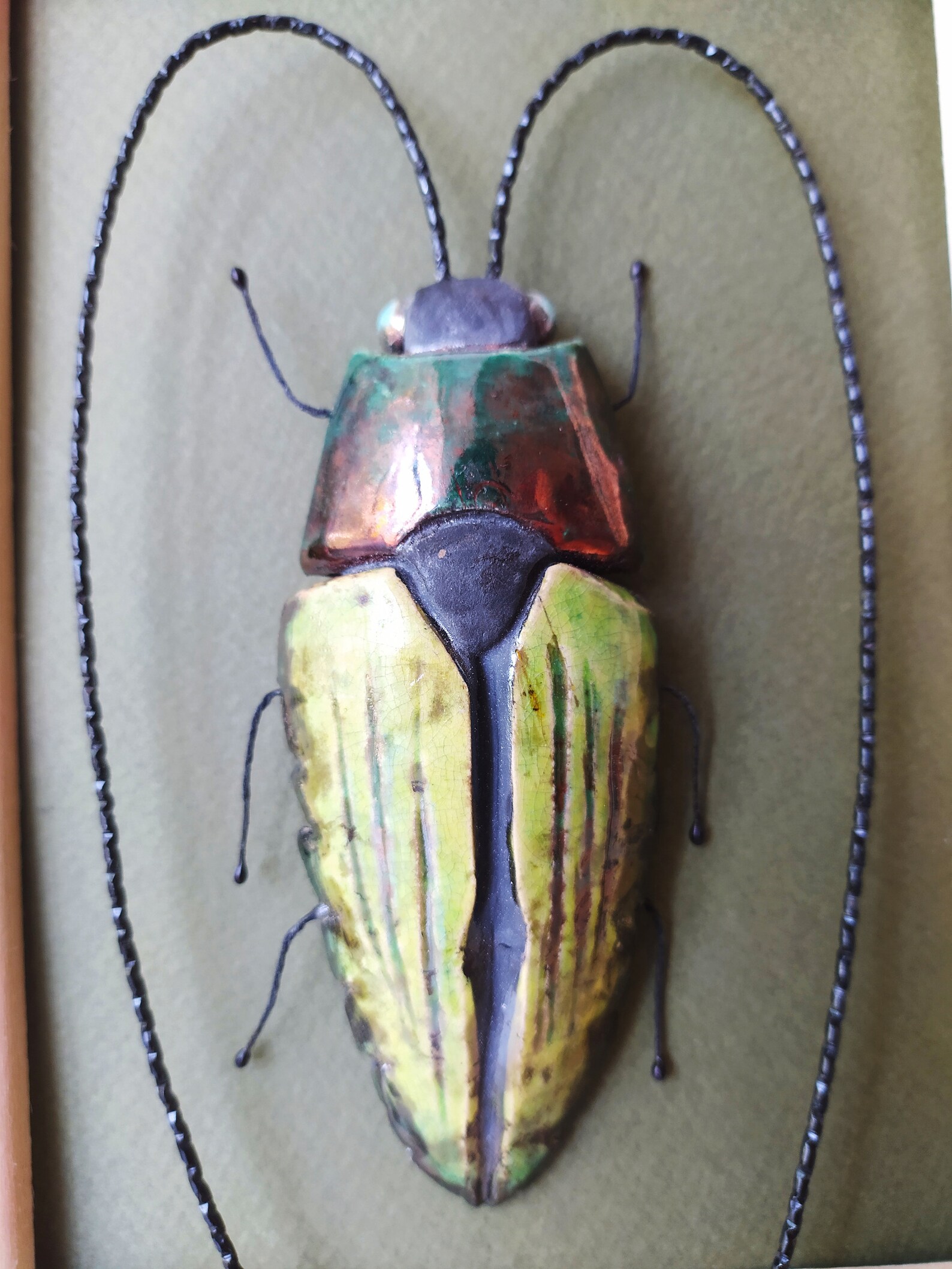 Ceramic beetle framed. Large ceramic beetle brooch. Beetle | Etsy