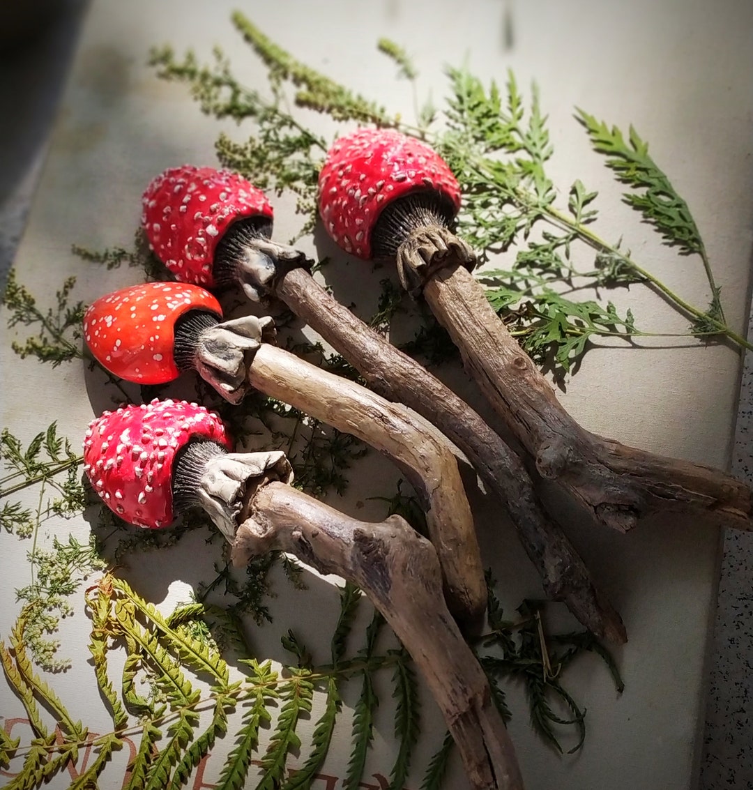 Large Ceramic Spoons With Wooden Handle Handmade. Magic Mushroom-spoon ...