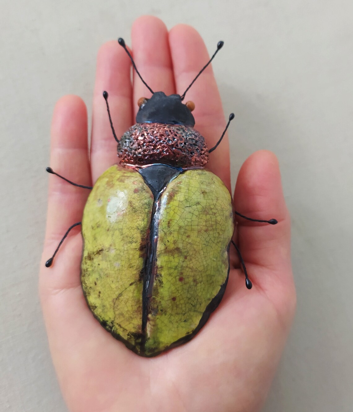 Ceramic beetle framed. Large ceramic beetle brooch. Beetle | Etsy