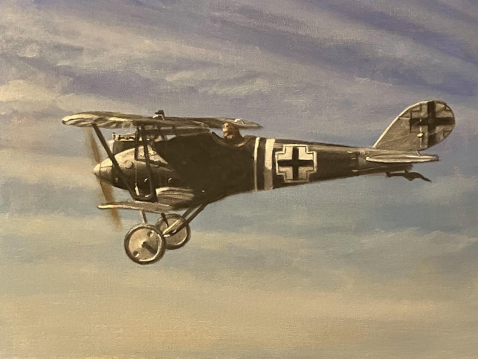 Pfalz DIII A. Classic Aircraft. WW1. Historic Fighters. Aviation Art ...