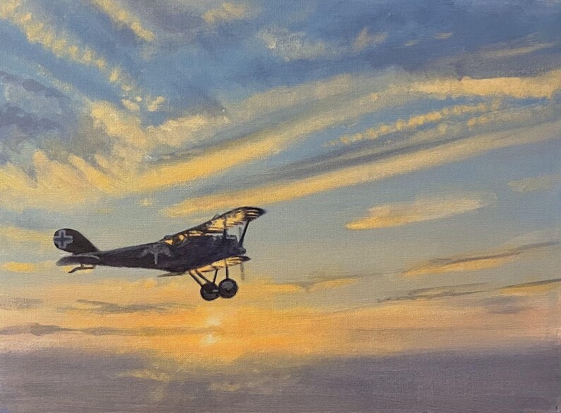 Pfalz D III. Classic Biplanes. WW1. Historic Aircraft. Aviation Art ...