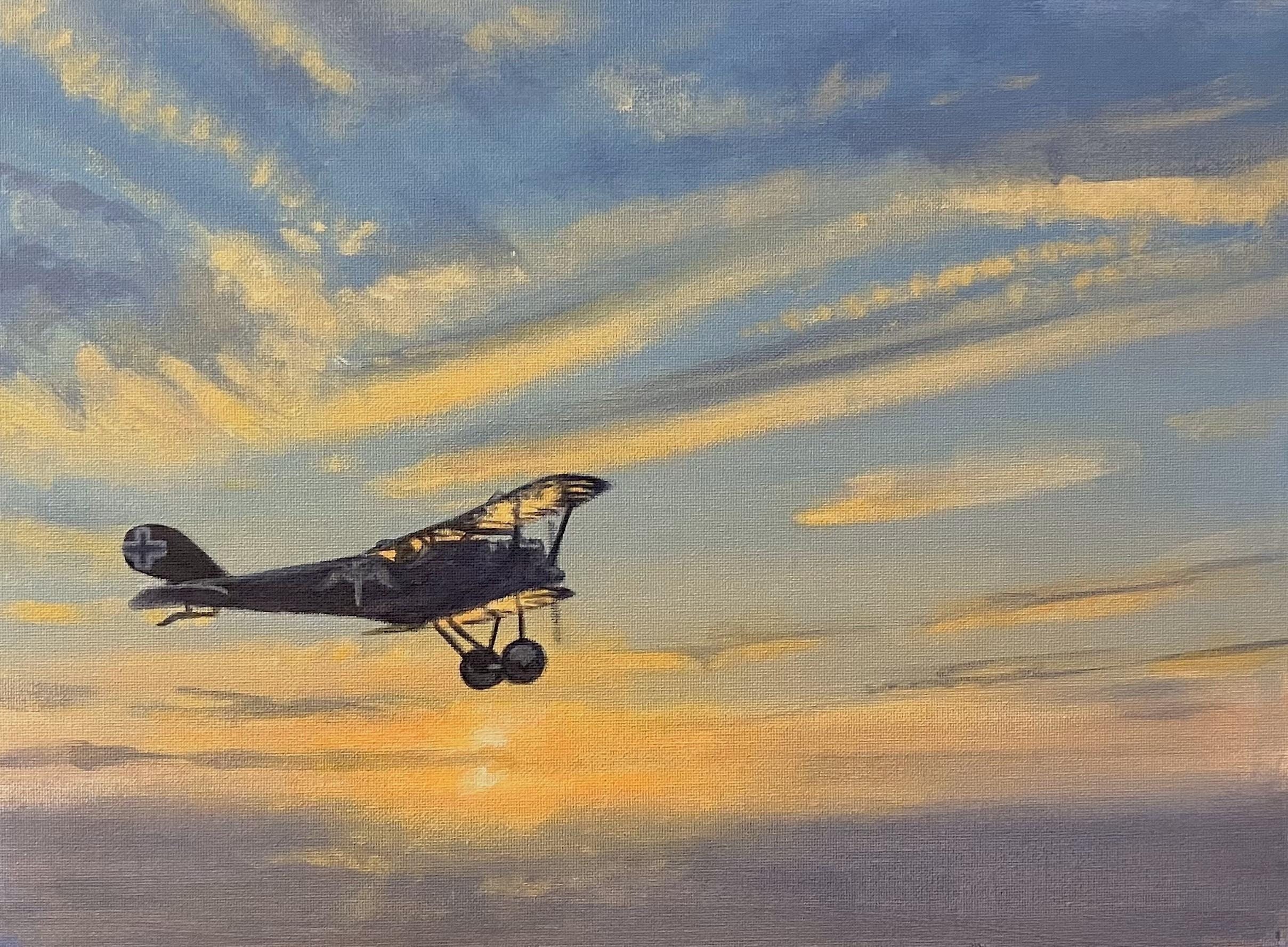 Pfalz D III. Classic Biplanes. WW1. Historic Aircraft. Aviation Art ...