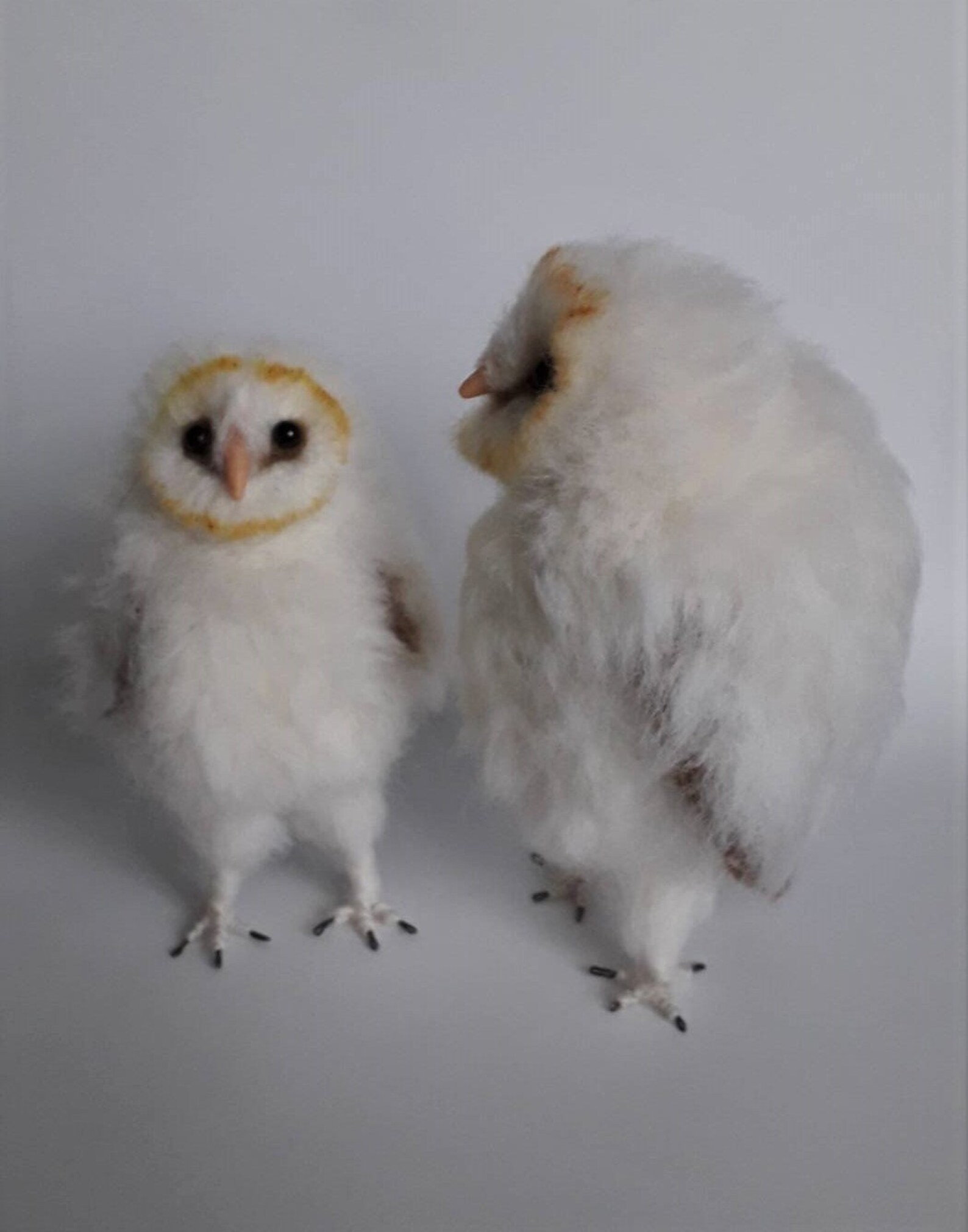 Baby Barn Owl, Needle Felted Baby Barn Owl, Needle Felted Barn Owl ...