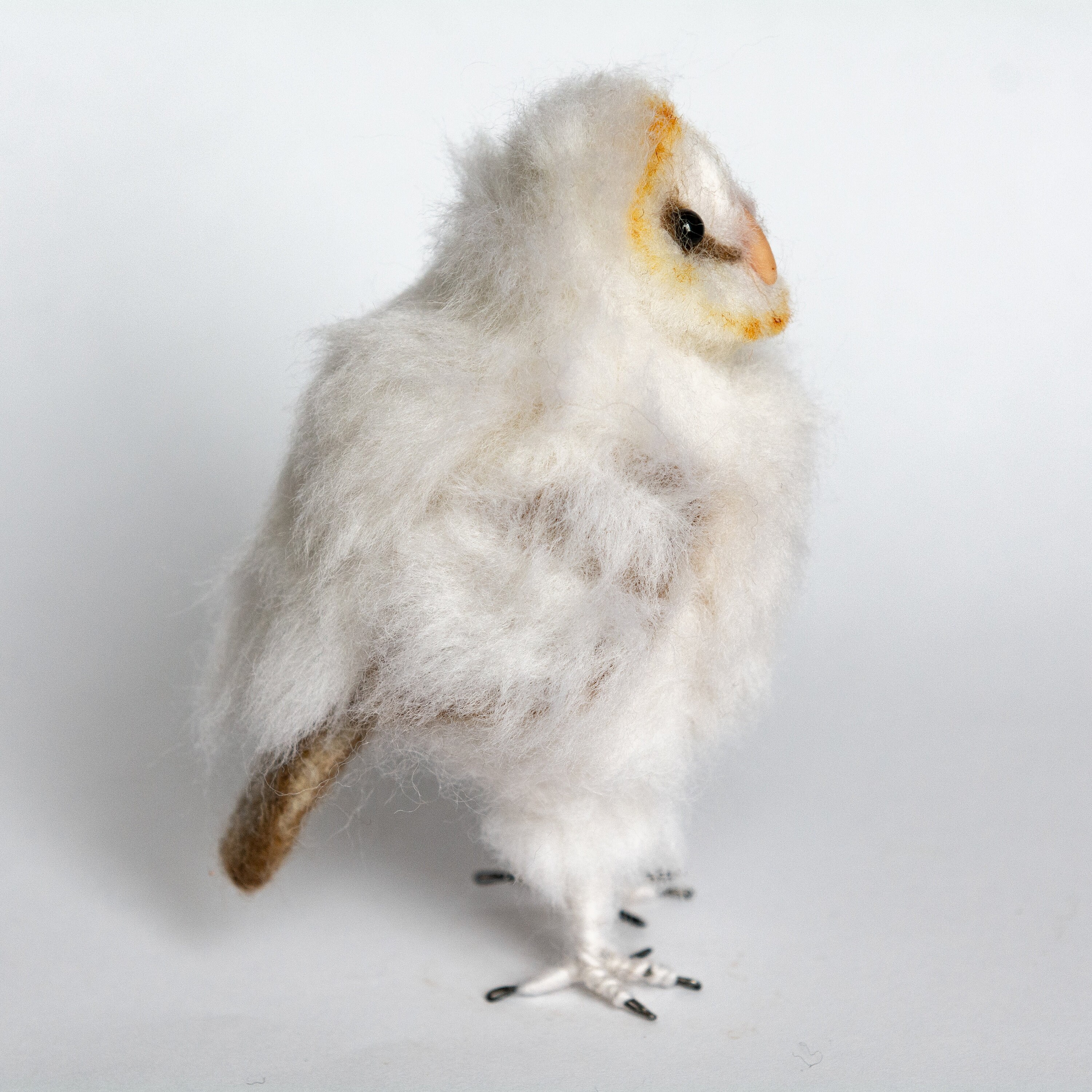 Baby Barn Owl, Needle Felted Baby Barn Owl, Needle Felted Barn Owl ...