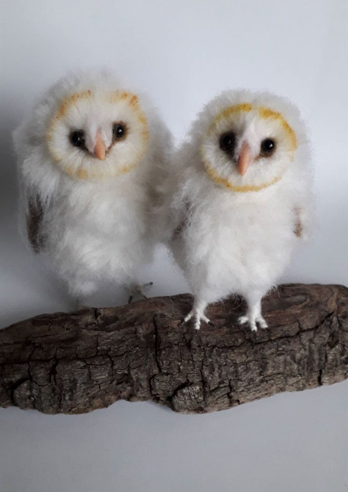 Baby Barn Owl, Needle Felted Baby Barn Owl, Needle Felted Barn Owl ...