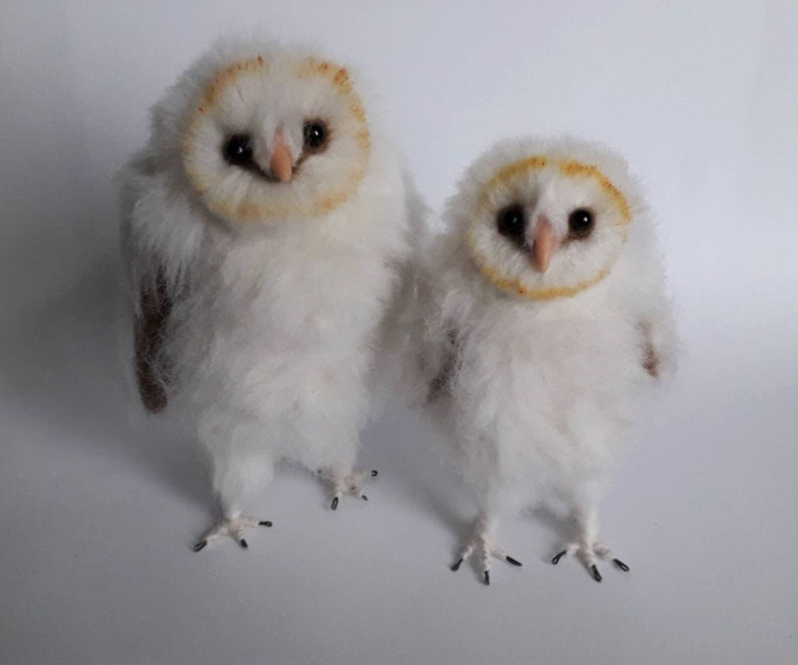 Baby Barn Owl, Needle Felted Baby Barn Owl, Needle Felted Barn Owl ...