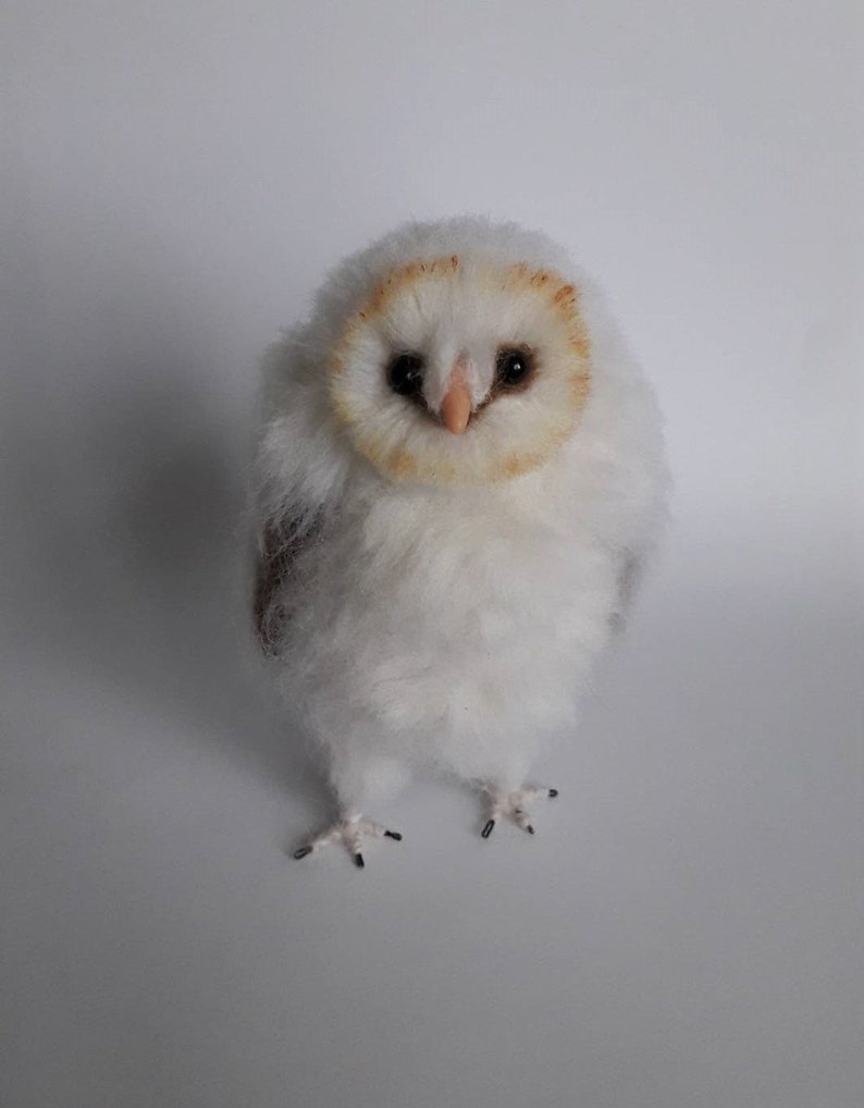 Baby Barn Owl, Needle Felted Baby Barn Owl, Needle Felted Barn Owl ...