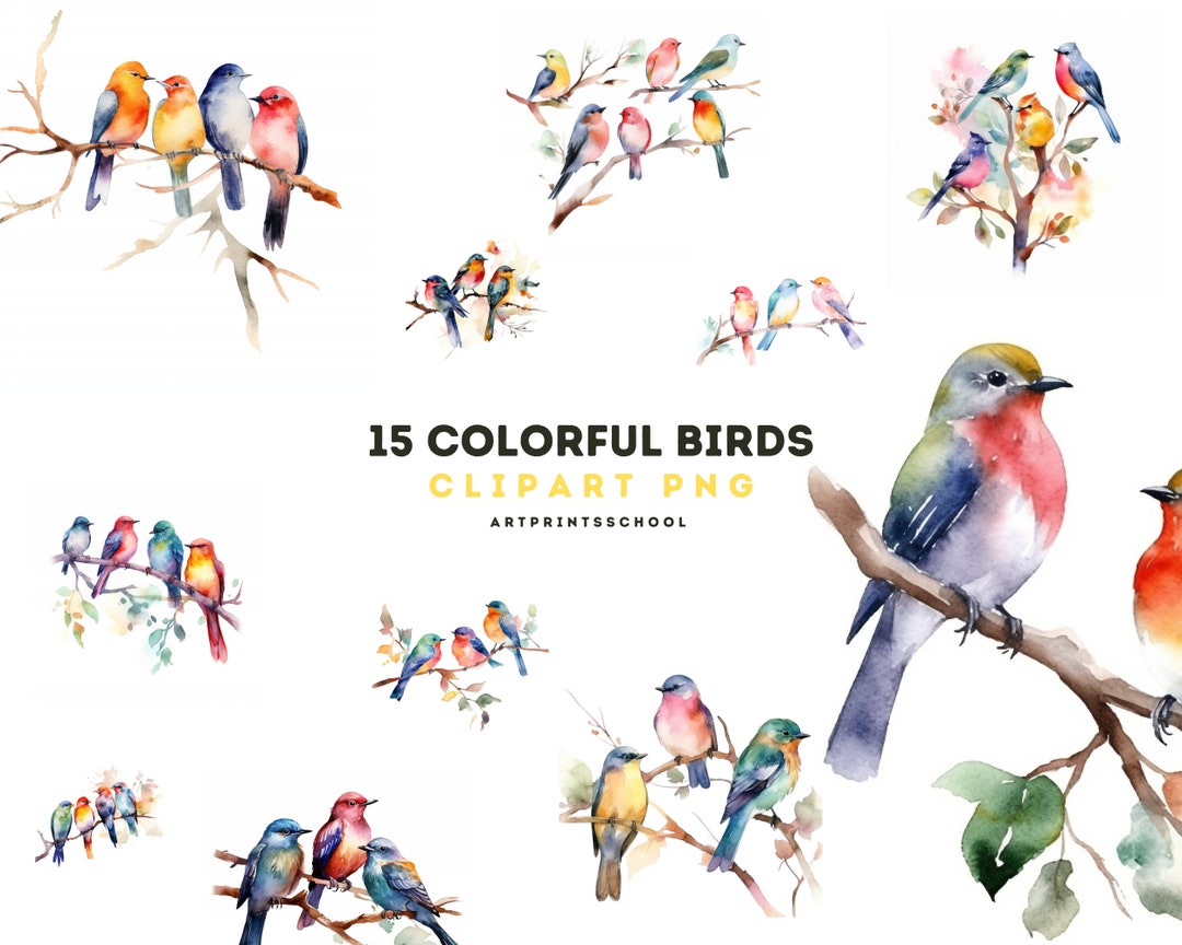 Watercolor Birds Clipart Bundle, Spring Birds Clipart, Birds Bundle ...