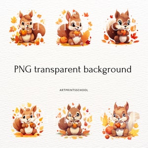 Cute Squirrels Clipart Set, 26 Autumn Animal Art, PNG, 10 Baby Animal ...