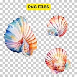 Watercolor Colorful Seashell Clipart, Beach Clipart, Nautical Clipart ...