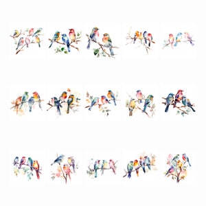 Watercolor Birds Clipart Bundle, Spring Birds Clipart, Birds Bundle ...