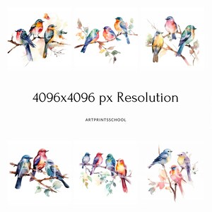 Watercolor Birds Clipart Bundle, Spring Birds Clipart, Birds Bundle ...