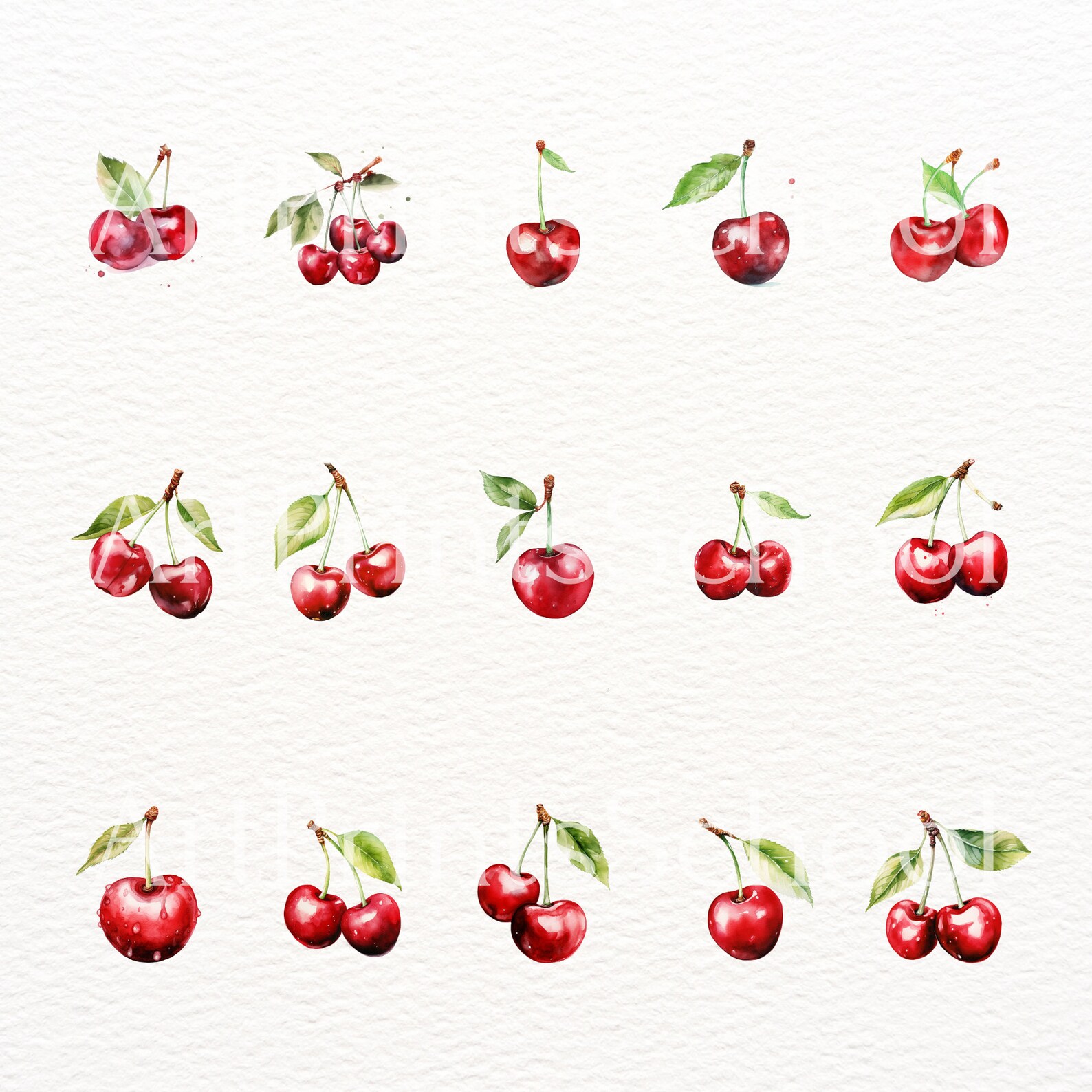 Watercolor Cherry Clipart, 15 High Quality PNG, Commercial Use, Instant ...