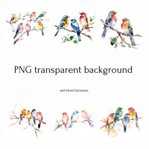 Watercolor Birds Clipart Bundle, Spring Birds Clipart, Birds Bundle ...