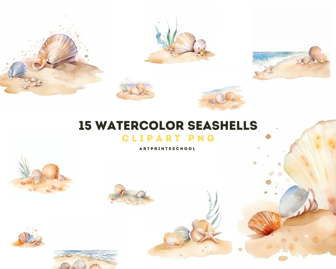 Watercolor Seashells Clipart, Beach Clipart, Nautical Clipart Bundle ...