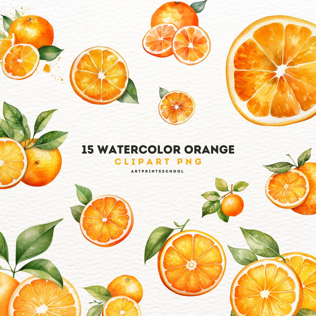 Watercolor Orange Clipart, 15 Watercolor Oranges Png, Orange Twig ...