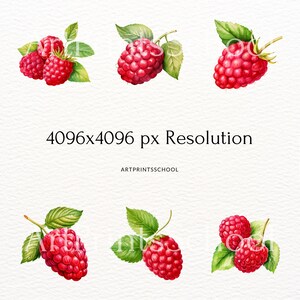 Raspberry Watercolor Clipart, 15 Raspberry PNG Bundle, Berry Cut Files ...