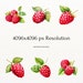 Raspberry Watercolor Clipart, 15 Raspberry PNG Bundle, Berry Cut Files ...