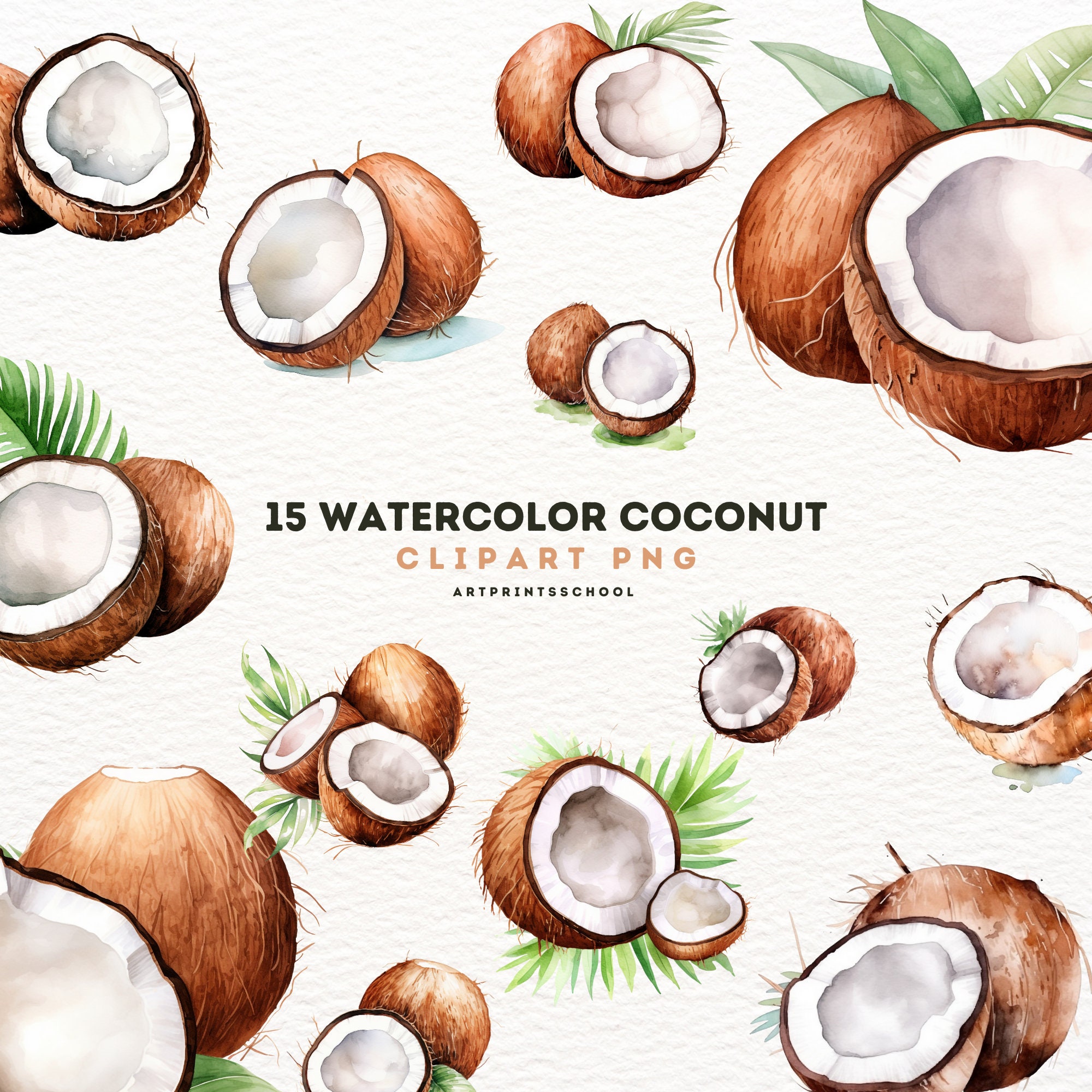 Coconut Clip Art Png
