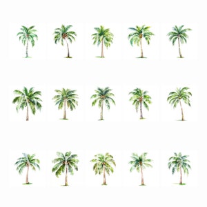 Watercolor Palm Tree Clipart, Beach Clipart, Tropical Clipart Bundle ...