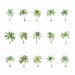Watercolor Palm Tree Clipart, Beach Clipart, Tropical Clipart Bundle ...