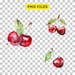 Watercolor Cherry Clipart: 15 PNG Fruit Graphics (digital Download) - Etsy