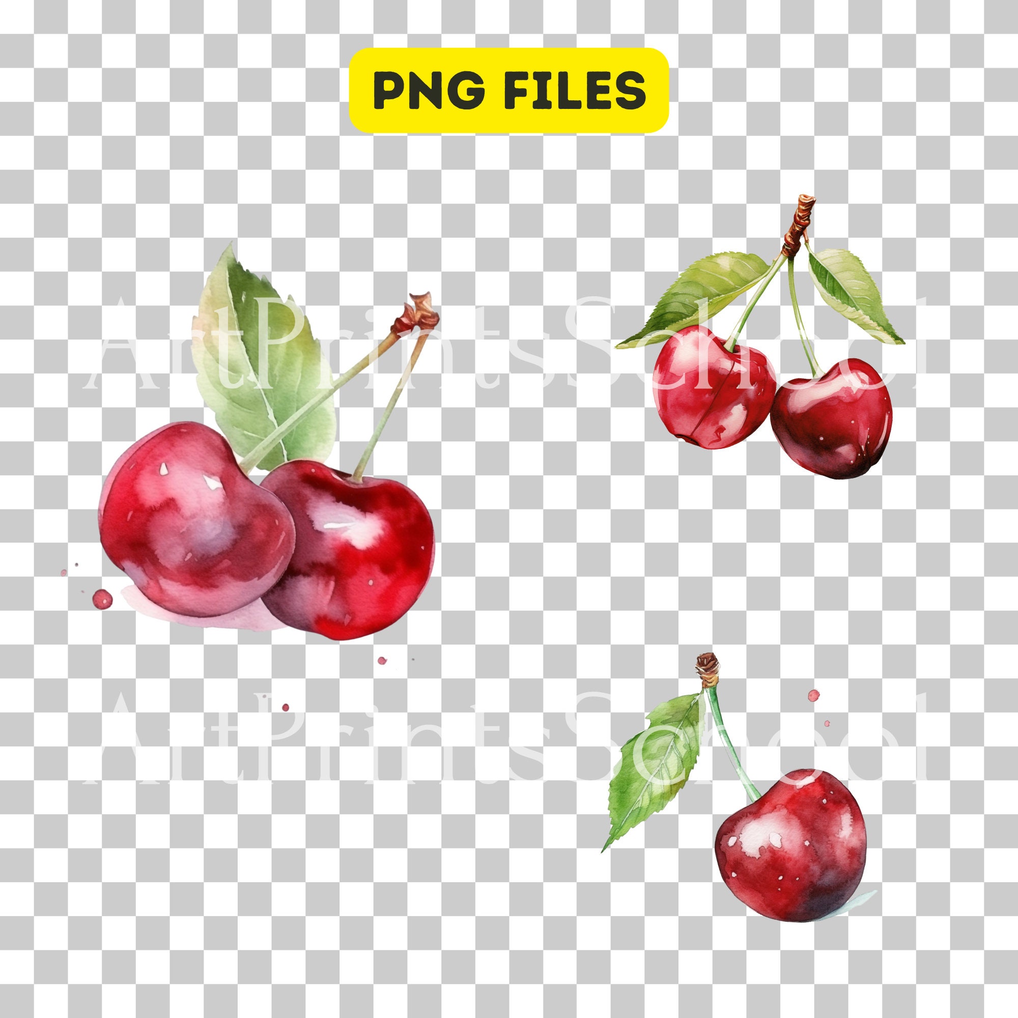 Watercolor Cherry Clipart: 15 PNG Fruit Graphics (digital Download) - Etsy