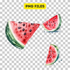 Watercolor Watermelon Clipart, Digital PNG Summer Fruit Graphics for ...
