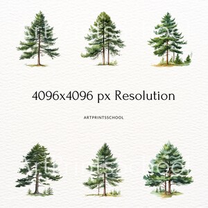 Pine Tree Watercolor Clipart, 15 Beautiful Trees PNG, Landscape Art ...