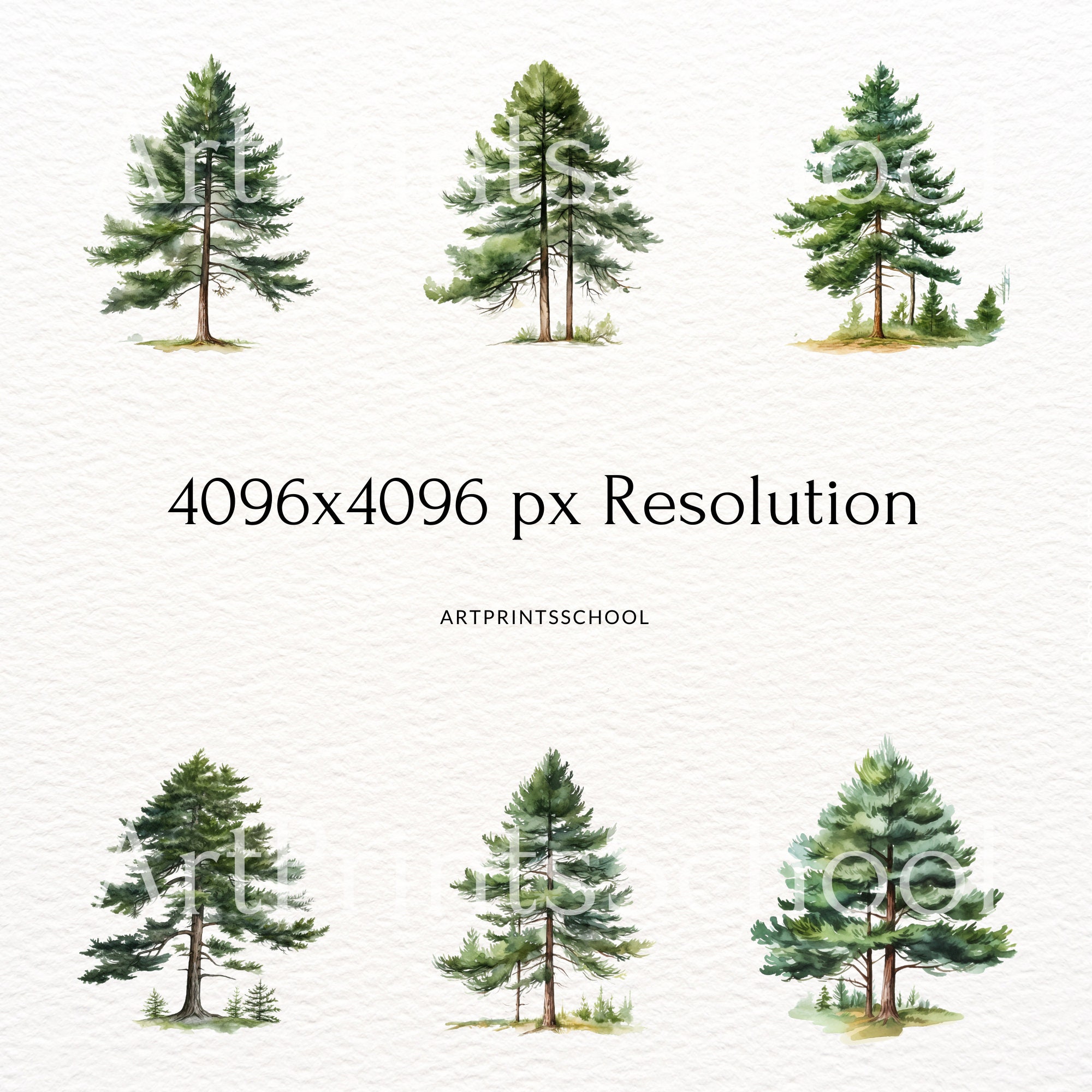 Watercolor Pine Tree Clipart: 15 PNG Forest Landscape Art (digital ...