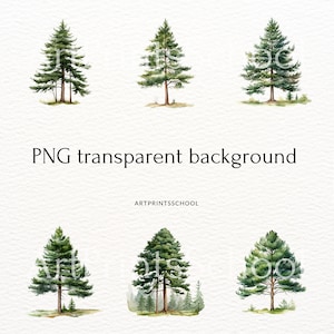 Pine Tree Watercolor Clipart, 15 Beautiful Trees PNG, Landscape Art ...
