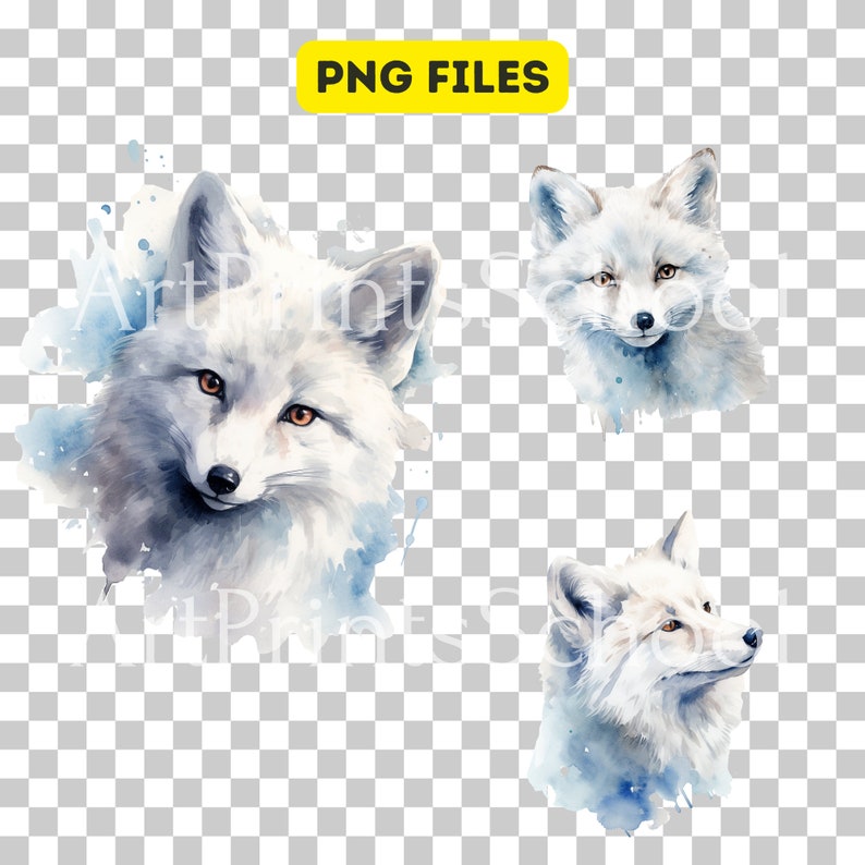 Arctic Fox Clipart Bundle, 15 Watercolor High Quality PNG | Digital ...