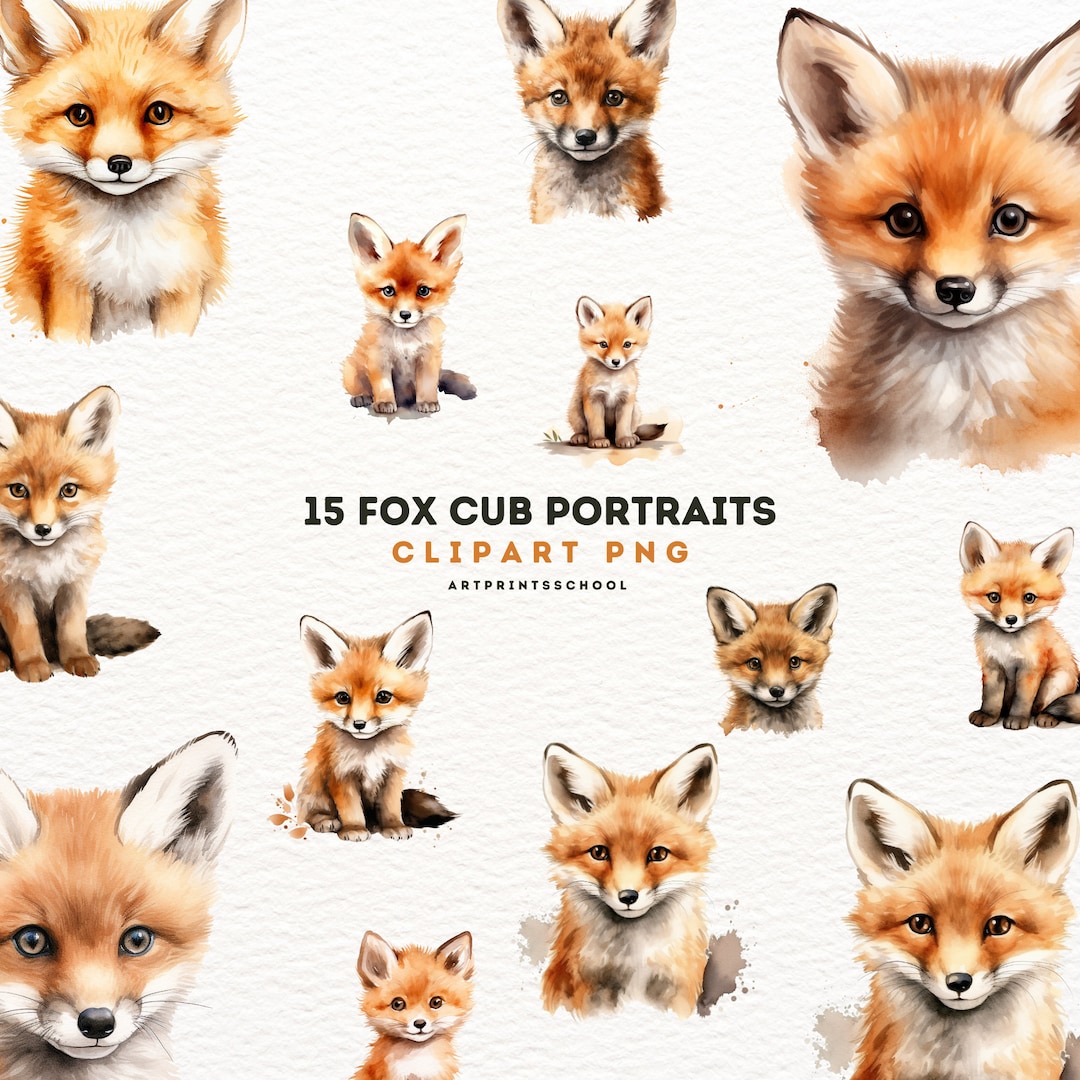Fox Cubs Portraits Clipart, 15 Watercolor High Quality PNG, Foxes ...