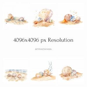 Watercolor Seashells Clipart, Beach Clipart, Nautical Clipart Bundle ...